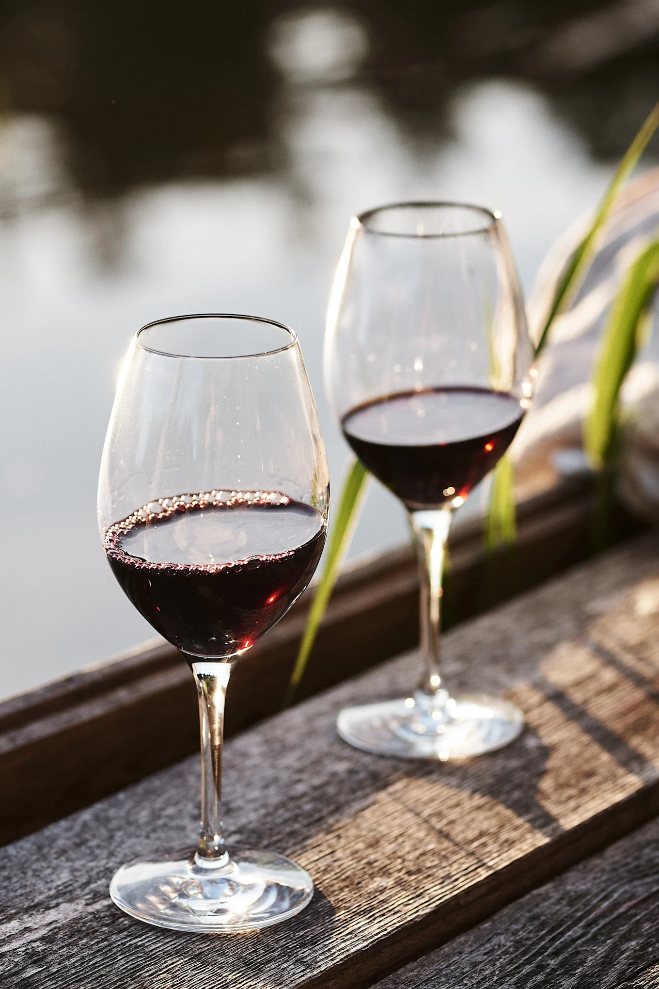 Guía de copas, parte 1: cómo elegir la copa de vino adecuada